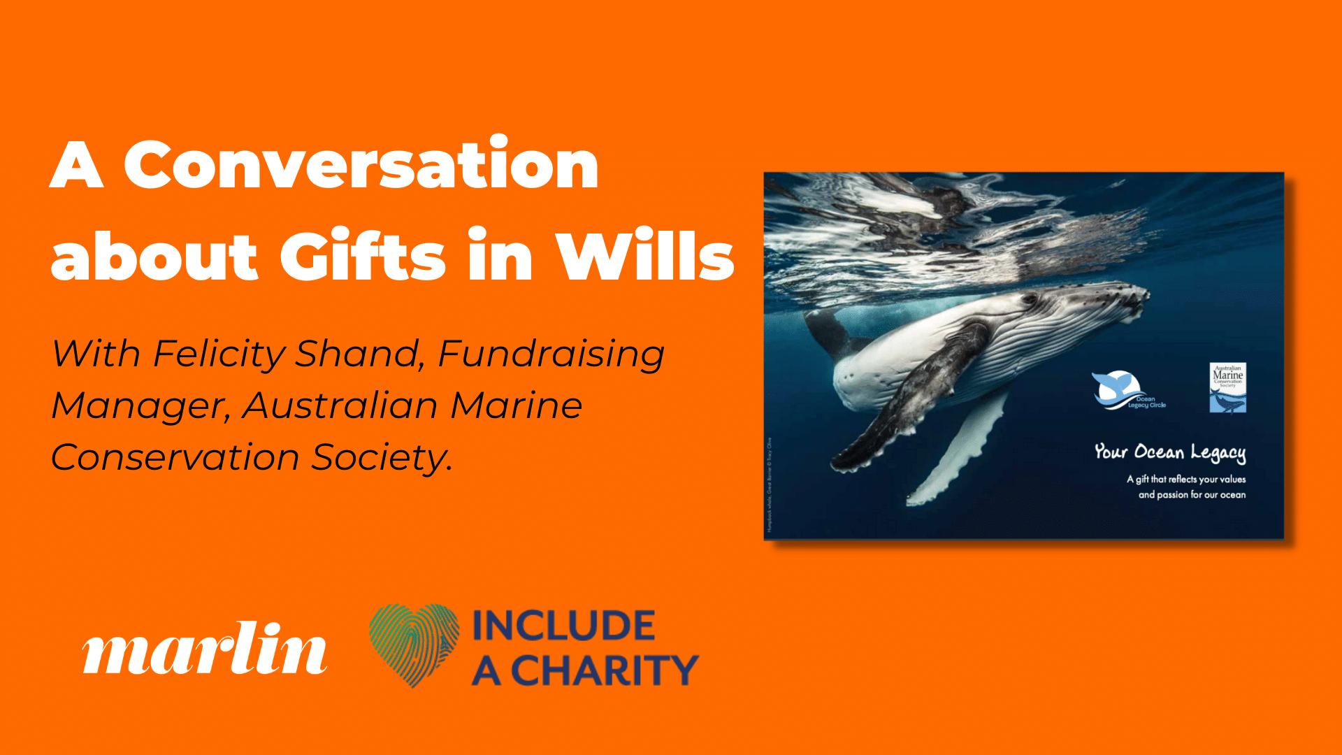 A Gifts in Wills Conversation with Felicity Shand - Marlin Communications