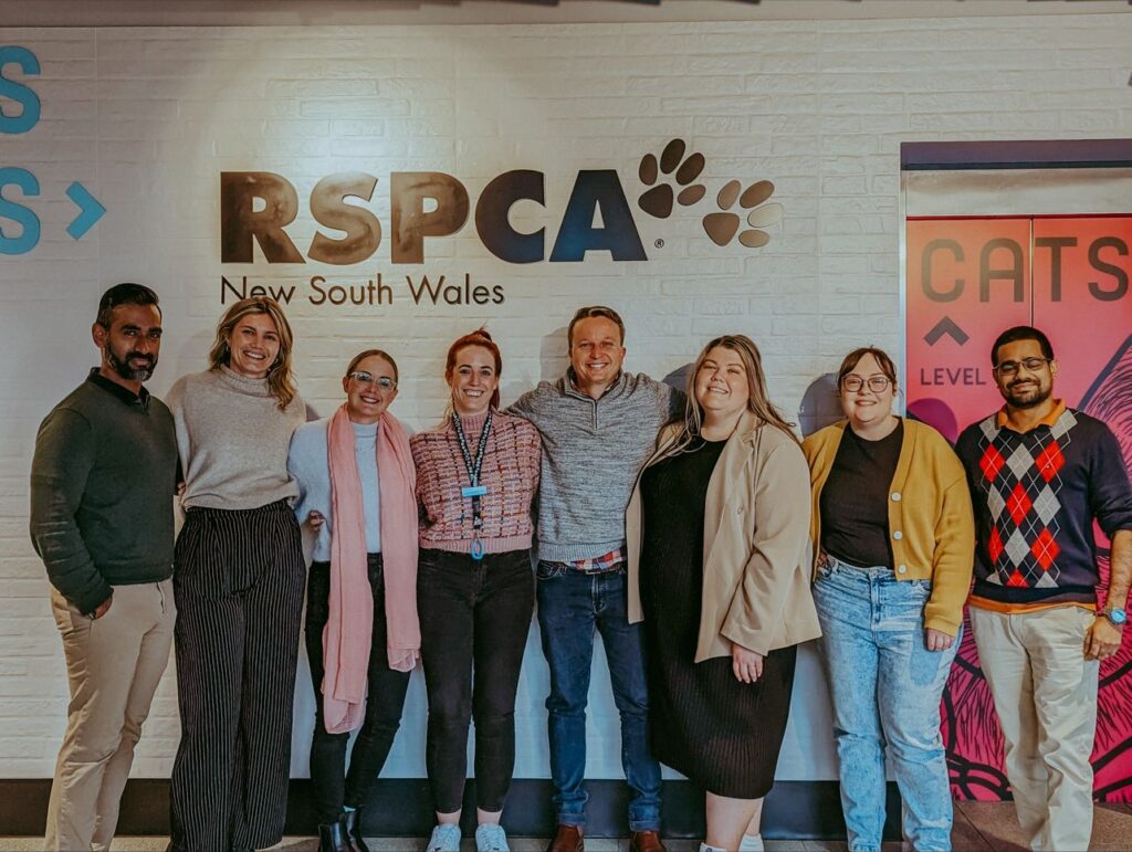 Reflections from my secondment with RSPCA NSW - Marlin Communications